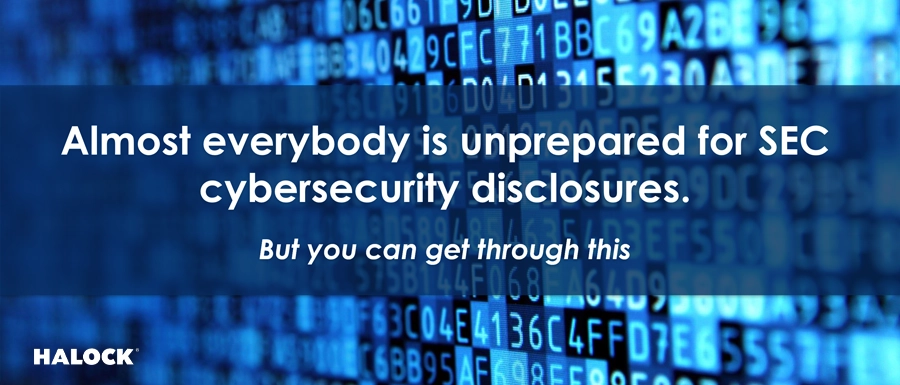 SEC-Cyber-Rules-HALOCK-Reasonable-Security - HALOCK SEC-Cyber-Rules-HALOCK-Reasonable-Security - HALOCK
