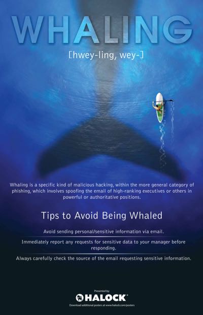 Cyber Awareness Pop Culture Poster: Whaling - HALOCK