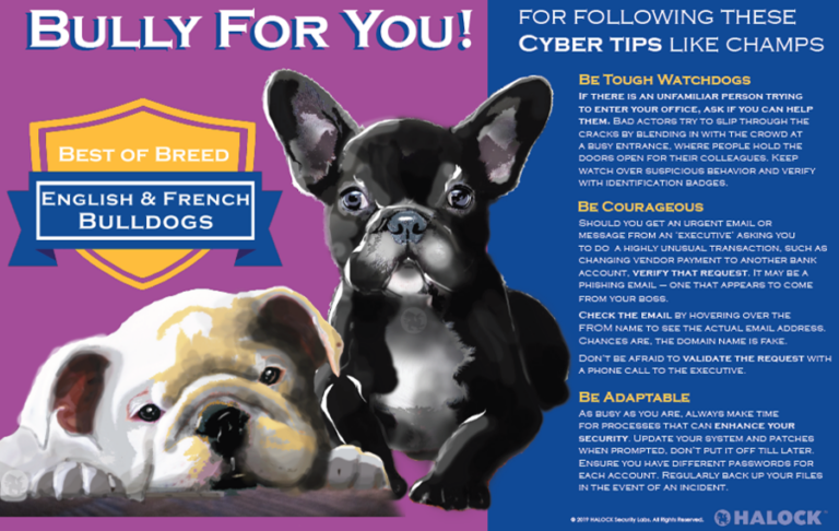 Cyber Security Awareness Posters | HALOCK Reasonable Security