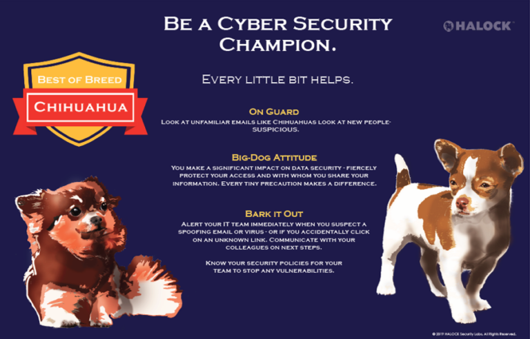 Cyber Security Awareness Best of Breed: Chihuahuas - HALOCK