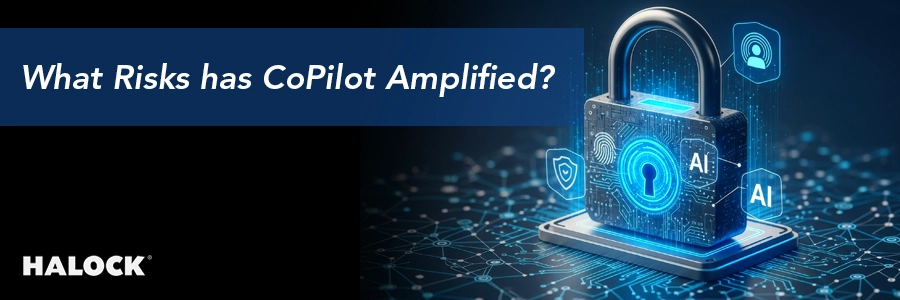 What Risks Has CoPilot Amplified? | AI Risk Management